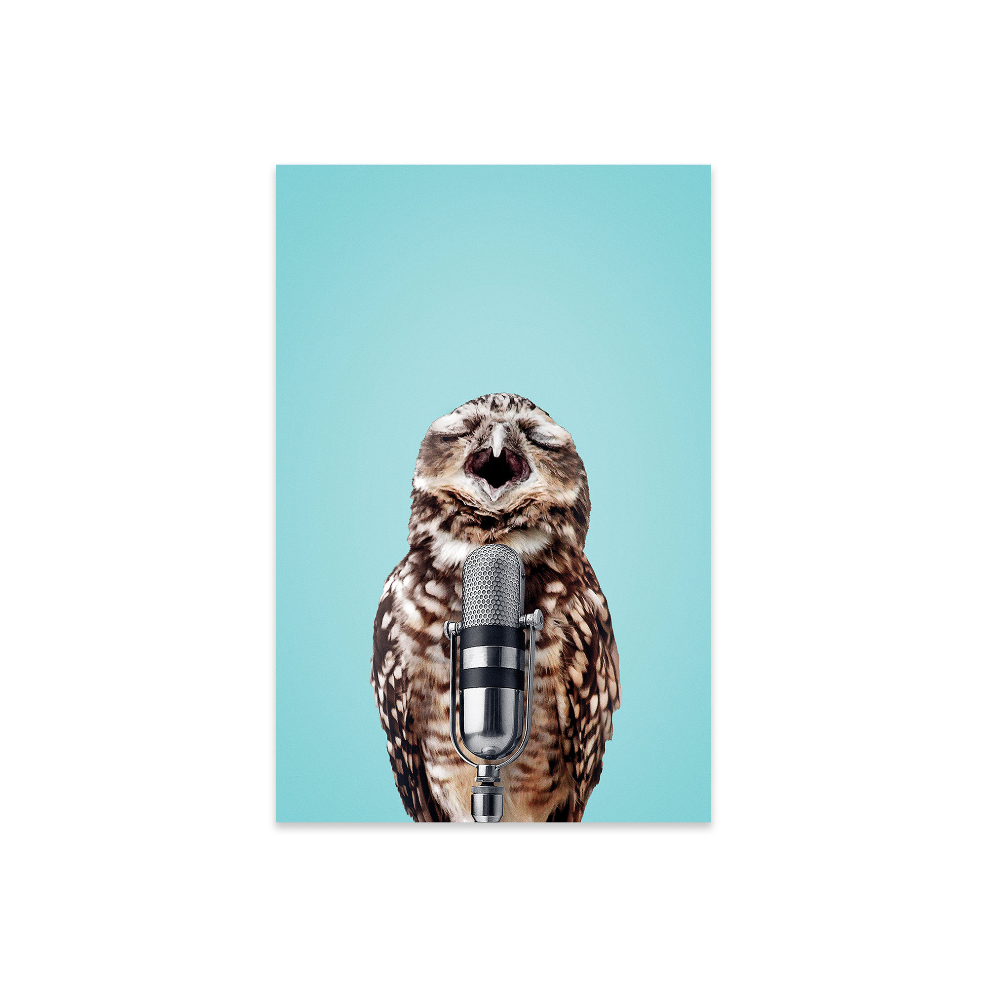 Trinx Singing Owl Print On Acrylic Glass - Wayfair Canada
